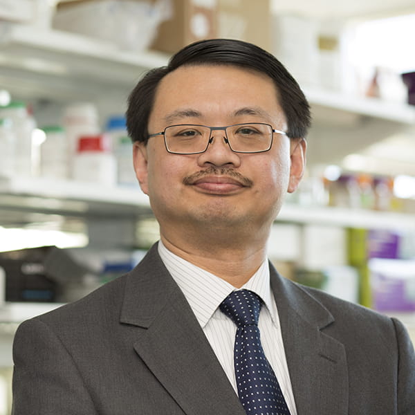 Gene Wong | Endicott College