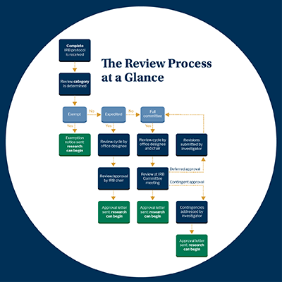 Institutional Review Board (IRB) | Endicott College
