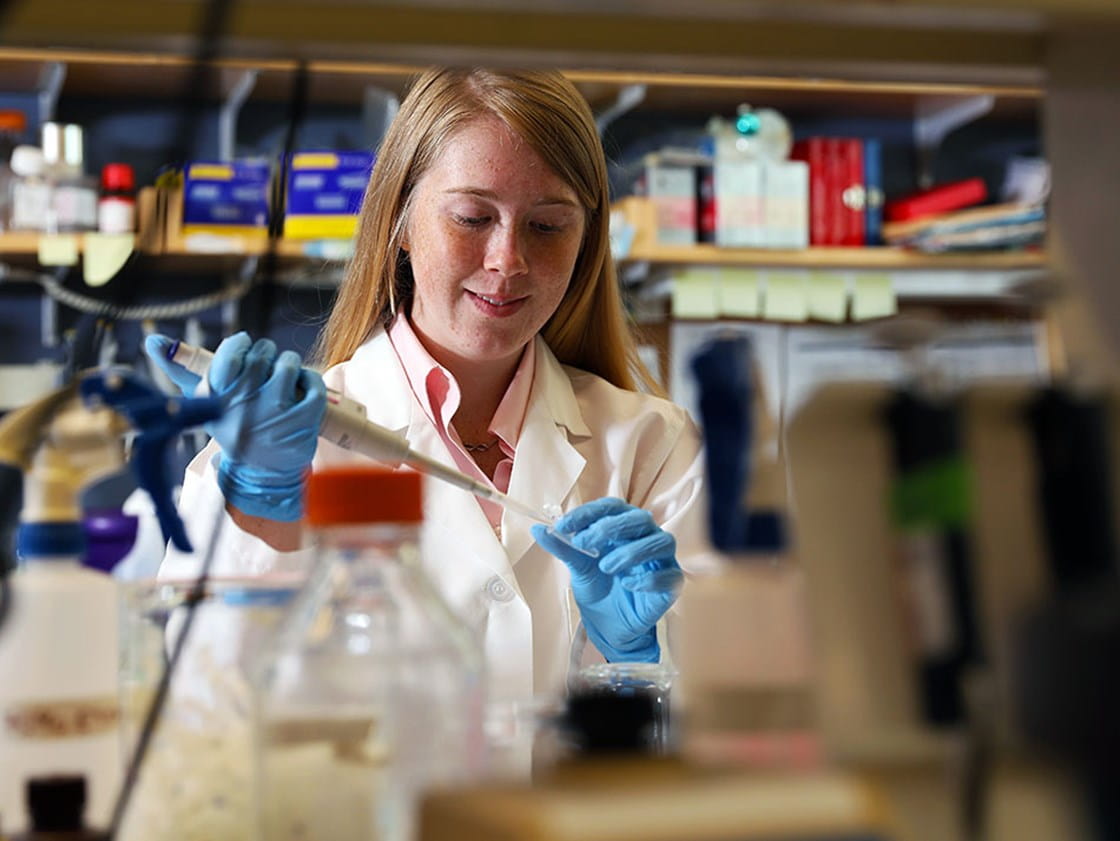 Biotechnology and Biology Program | Endicott College