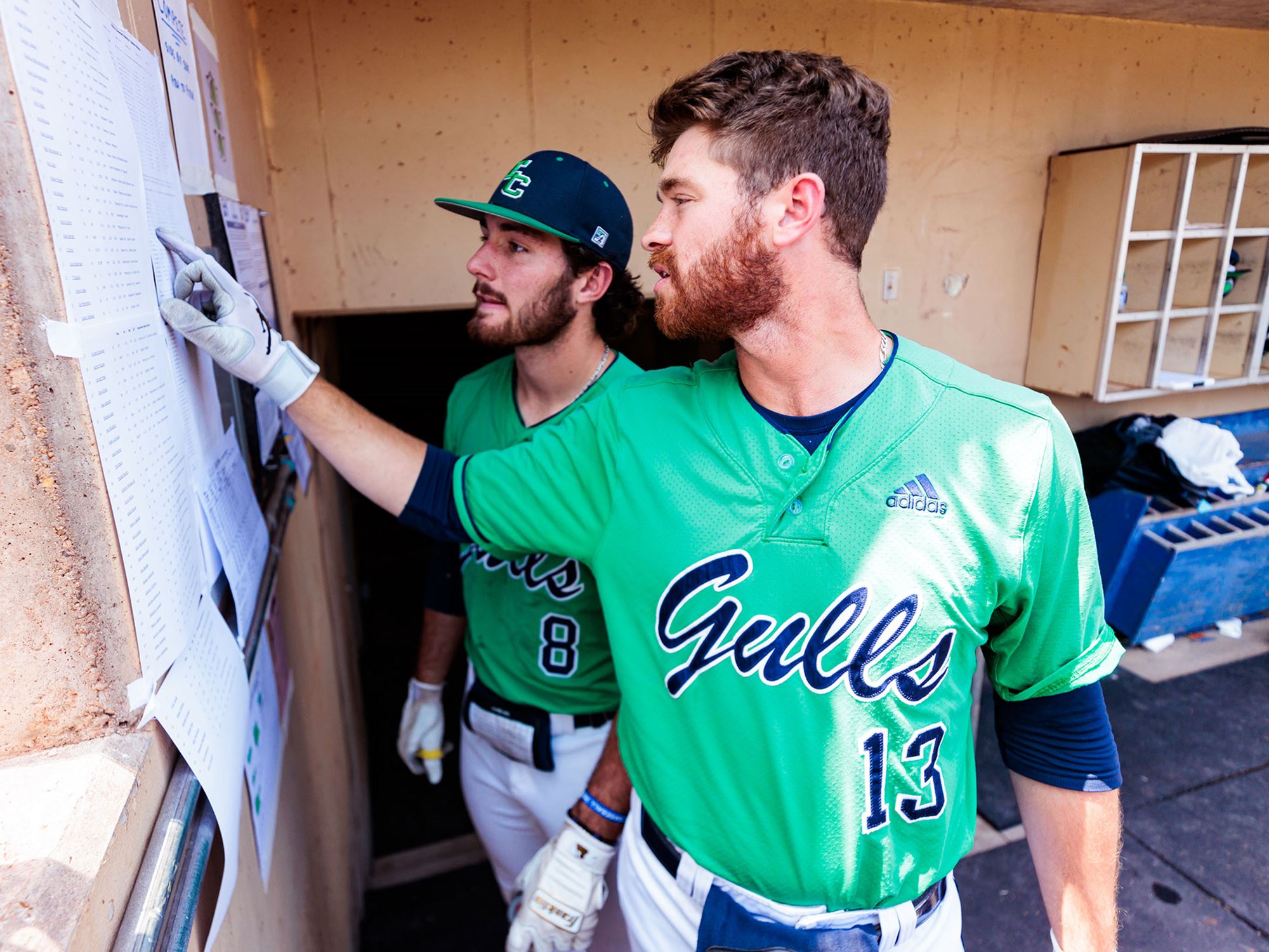 A Home Run Season for the Endicott Baseball Team | Endicott College