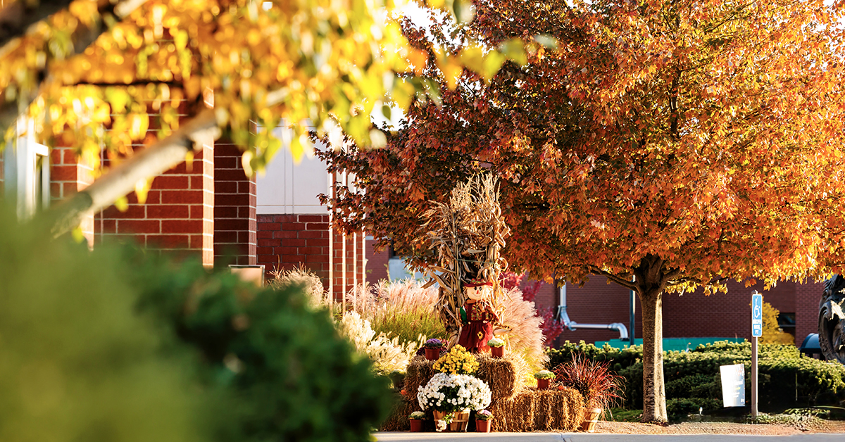 Autumn Adventures Await: The Ultimate Endicott Fall Guide | Endicott ...